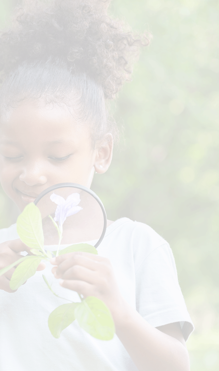 AOP Christian Homeschooling Curriculum | 4 Brands, 1 Trusted Name